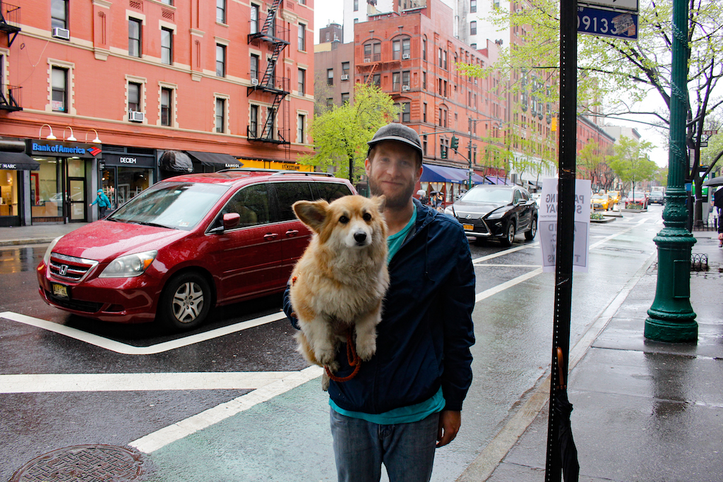 The ‘Wild, Funny, and Super Strange’ World of Insta-Famous Dogs ...