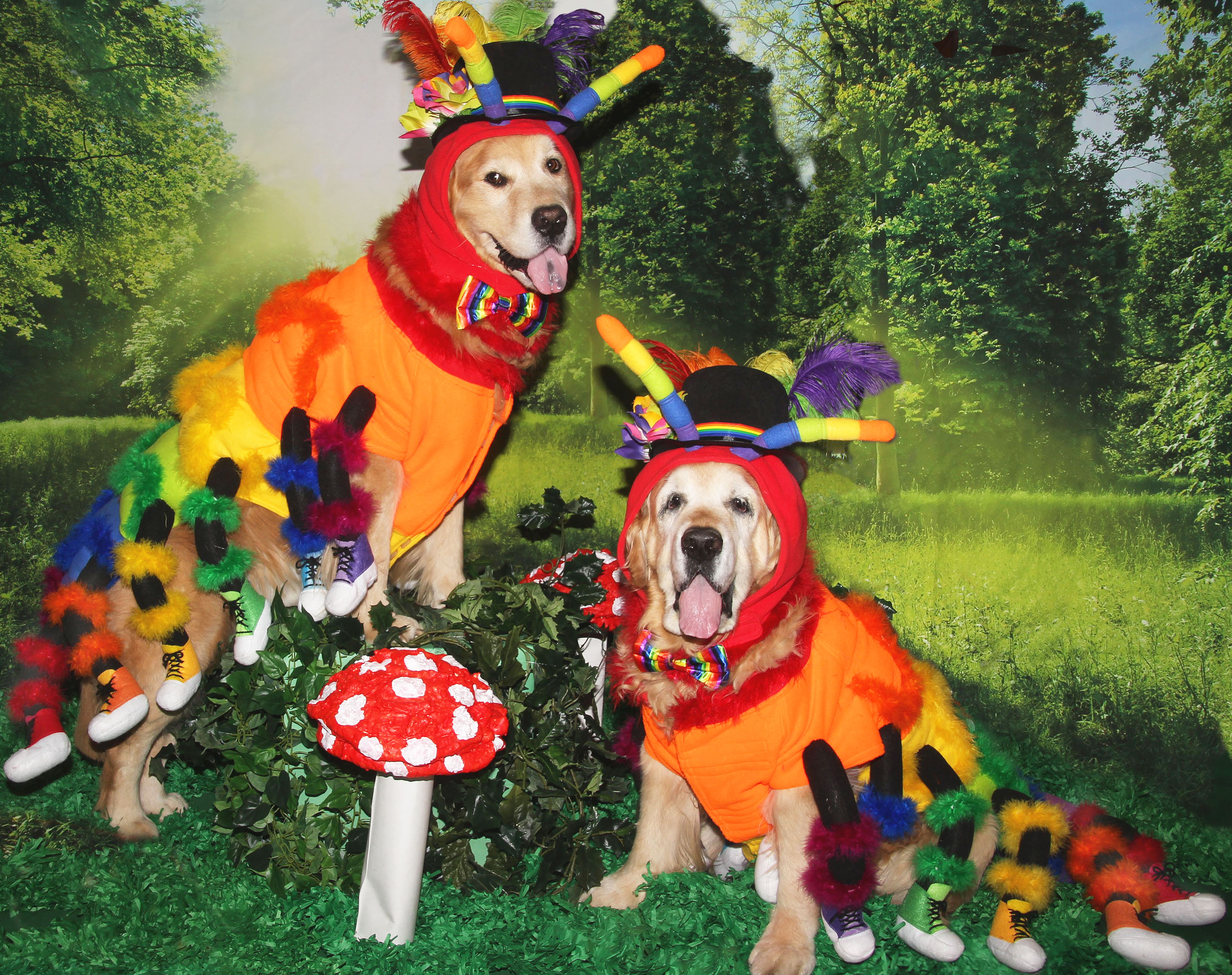 Tompkins Halloween Dog Parade: The Show Mutts Go On! - Bedford + Bowery